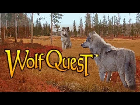 How to Find/Court a Mate in WolfQuest AE