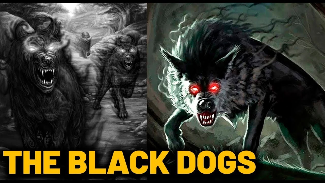 THE LEGEND AND MEANING OF BLACK DOGS