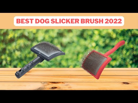 Best Dog Slicker Brush 2022 | Dog Slicker Brush Reviews
