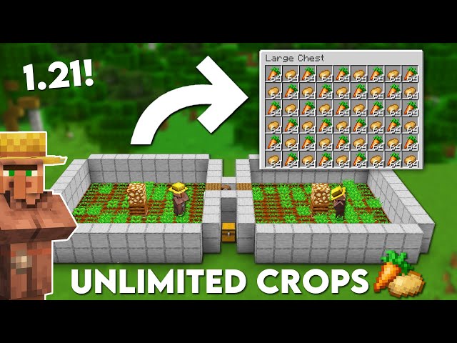 Minecraft automatic carrot farm guide
