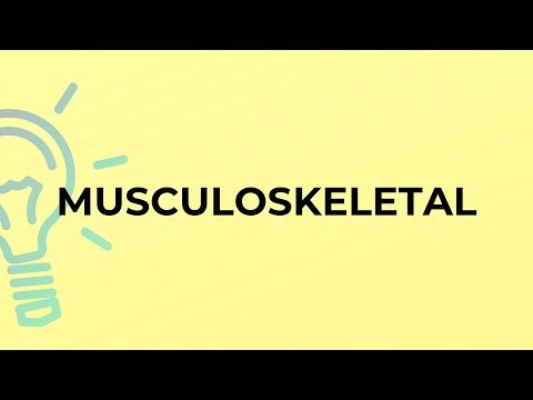 What is the meaning of the word MUSCULOSKELETAL?