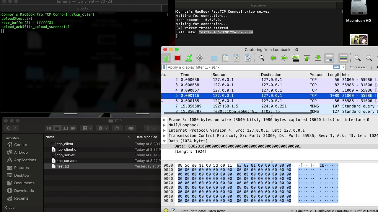 TCP Client - Server Example