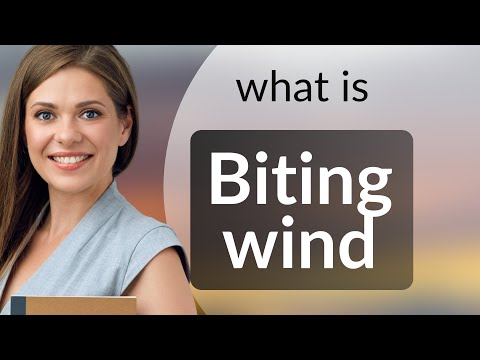 Understanding "Biting Wind": A Guide for English Language Learners