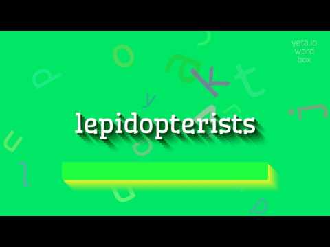 HOW TO PRONOUNCE LEPIDOPTERISTS? #lepidopterists