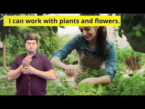 Let's Talk about Jobs by Rebecca Eisenberg, SLP (ASL)