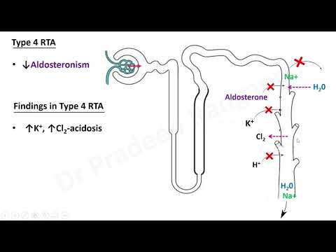 RTA (Renal Tubular Acidosis)