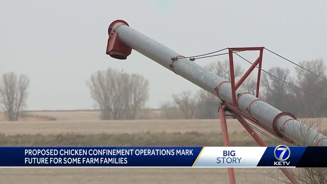 Proposed chicken confinement operations mark future for some farm families