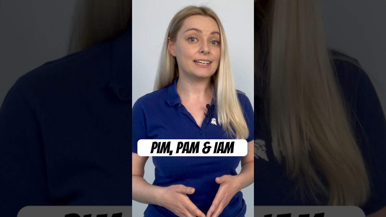 PIM vs PAM vs IAM: Understand the Differences