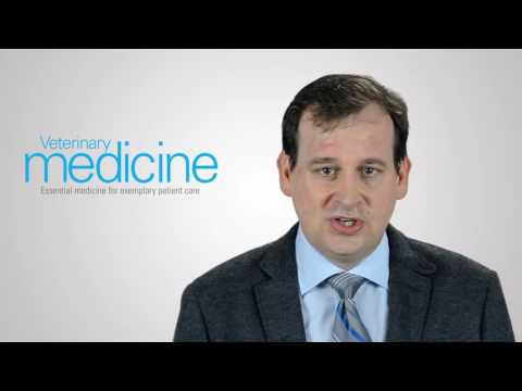 Ins and outs of using contrast medium to evaluate the urinary tract