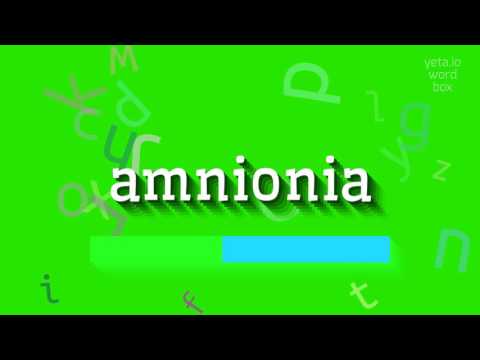 AMNIONIA - HOW TO PRONOUNCE IT? #amnionia