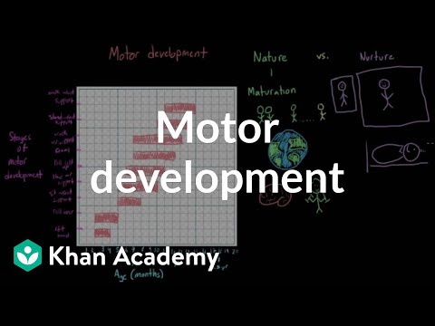 Motor development | Behavior | MCAT | Khan Academy