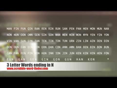3 letter words ending in N