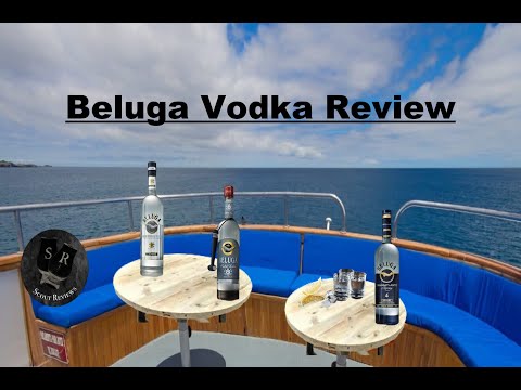 Beluga Vodka Review.