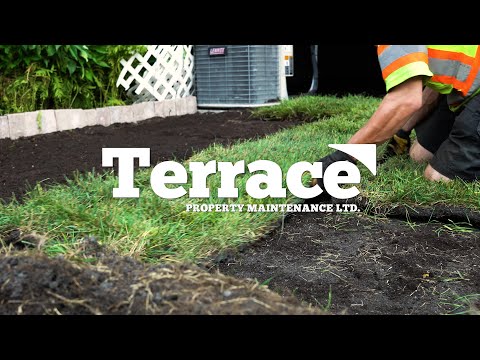 SOD vs. SEED Which is Better and Why? - Lawncare Maintenance
