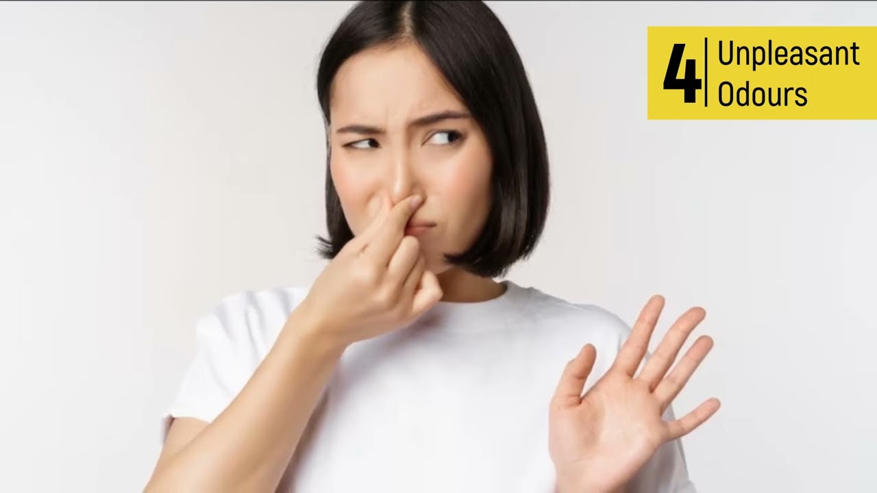 What Are The Early Signs of Bed Bugs | Clearview Bed Bug Monitor