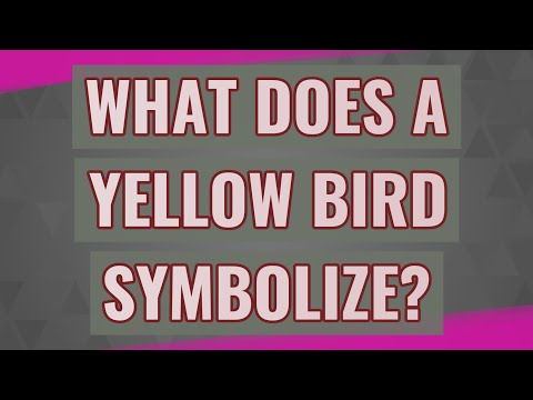 What does a yellow bird symbolize?