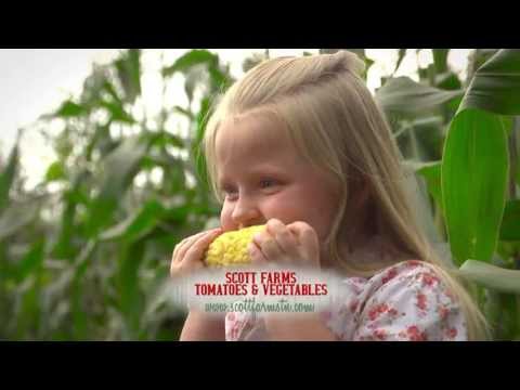 Scotts Farms Girl, Sweet Corn