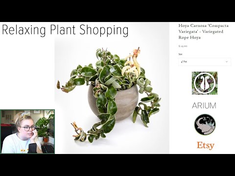 Relaxing Online Houseplant Shopping~ Houseplant Therapy for your Friday Morning :)