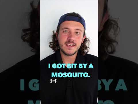 ¡Me Picó un Mosquito! - CLASE DE INGLÉS