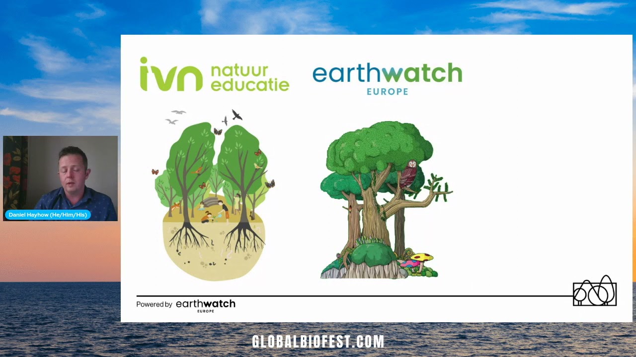 Daniel Hayhow | Tiny Forest – Super Tiny, Super Powerful