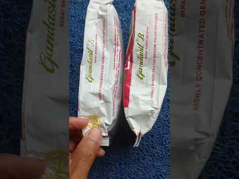 GANDASIL ASLI VS GANDASIL TIRUAN