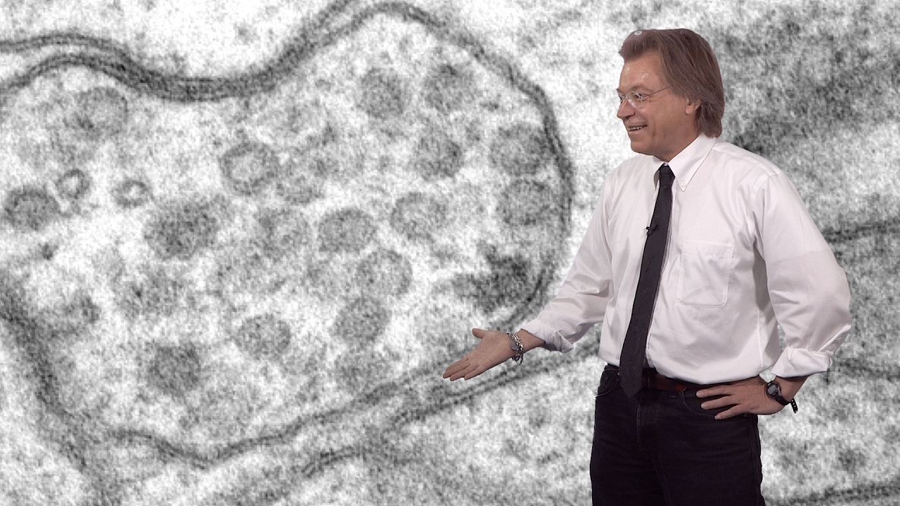 Erik Jorgensen (U. Utah / HHMI) 2: Recycling synaptic vesicles: Ultrafast endocytosis