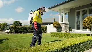 3 Best Pest Control Companies in Bendigo, VIC - Expert Recommendations