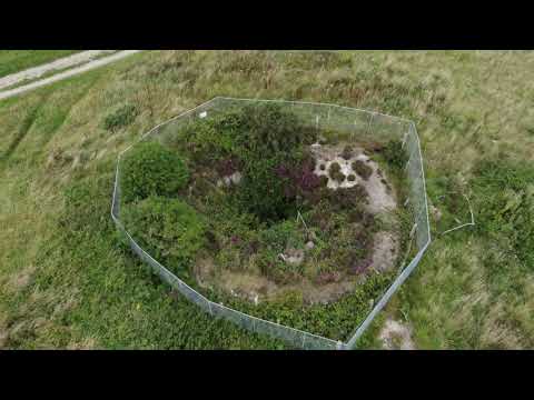 Cornish Mine Shaft Fencing