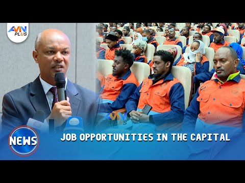 JOB OPPORTUNITIES IN THE CAPITAL