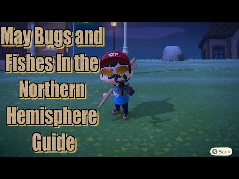 Animal Crossing New Horizons May Bugs and Fishes In the Northern Hemisphere Guide