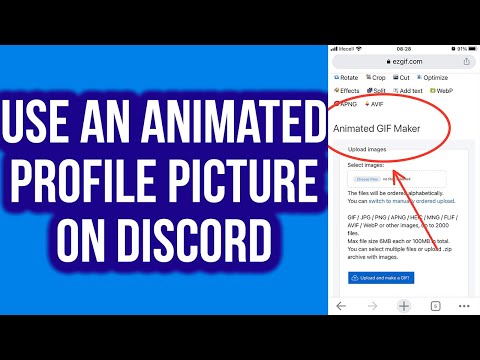 How To Use An Animated Profile Picture On Discord (Without Nitro)