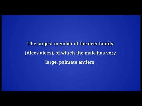 Moose Meaning