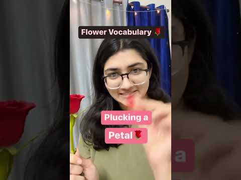 Flower Vocabulary | learn English with Yashee| #english #shorts
