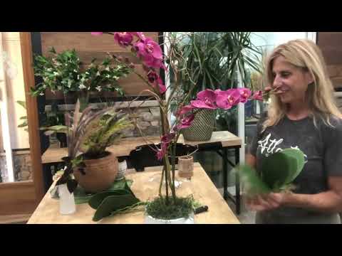 Make a faux(fake) Orchid Plant that looks real/no water needed @DesignbyElisa