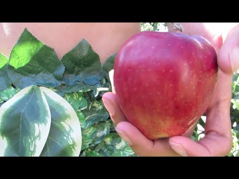 Adam & Eve Halloween Costume | Arturo Churro