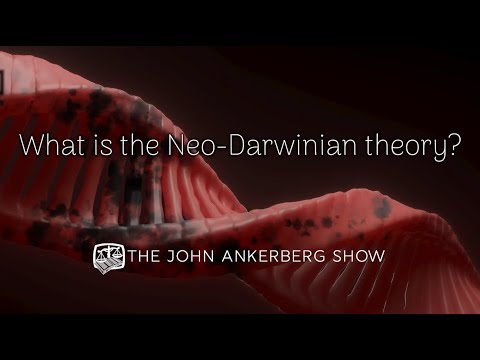 What is the Neo-Darwinian theory?
