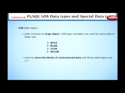 Learn Oracle | Data Types in PL SQL