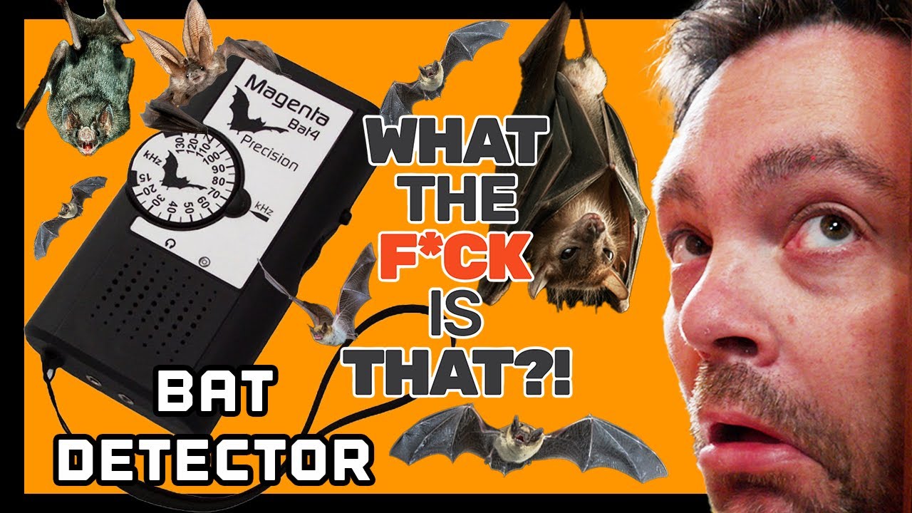 Bat Detector | WTF is That?!