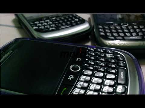 How to say blackberry in Spanish? mora
