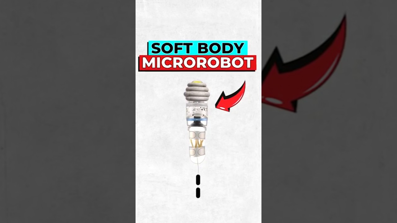 Scientists Create Tiny Robot That Crawls Through Your Brain