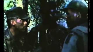 84C MoPic streaming: where to watch movie online?