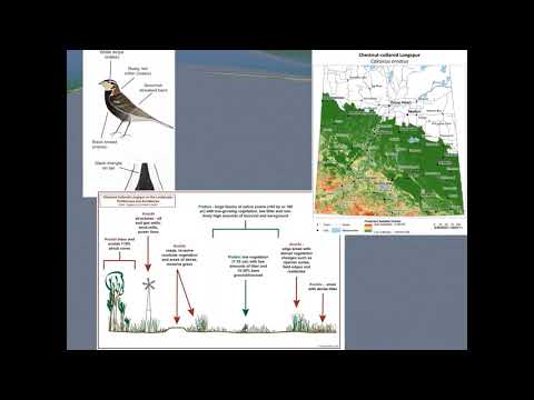 Managing Habitat Attributes for Multiple Species at Risk