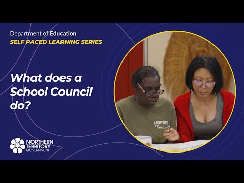 What does a school council do?