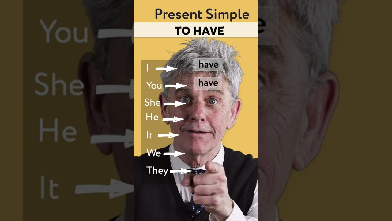 Present Simple TO HAVE - English for Kids