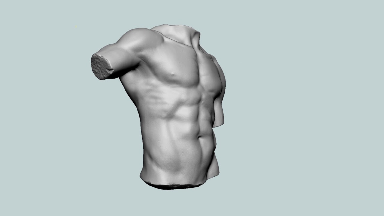 Torso Study Turntable