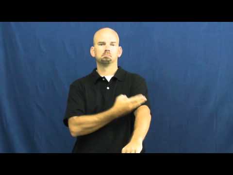 American Sign Language ASL Video Dictionary - sleeve