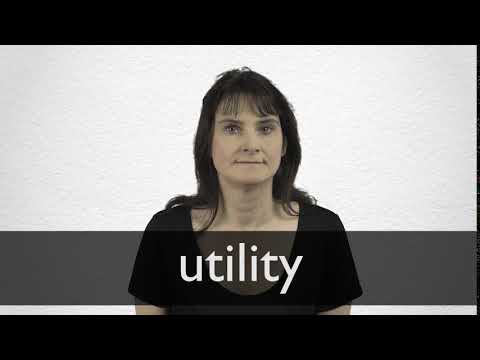 UTILITY definition and meaning | Collins English Dictionary
