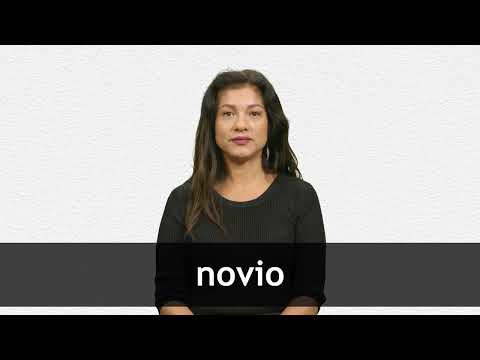 English Translation of “NOVIO” | Collins Spanish-English Dictionary