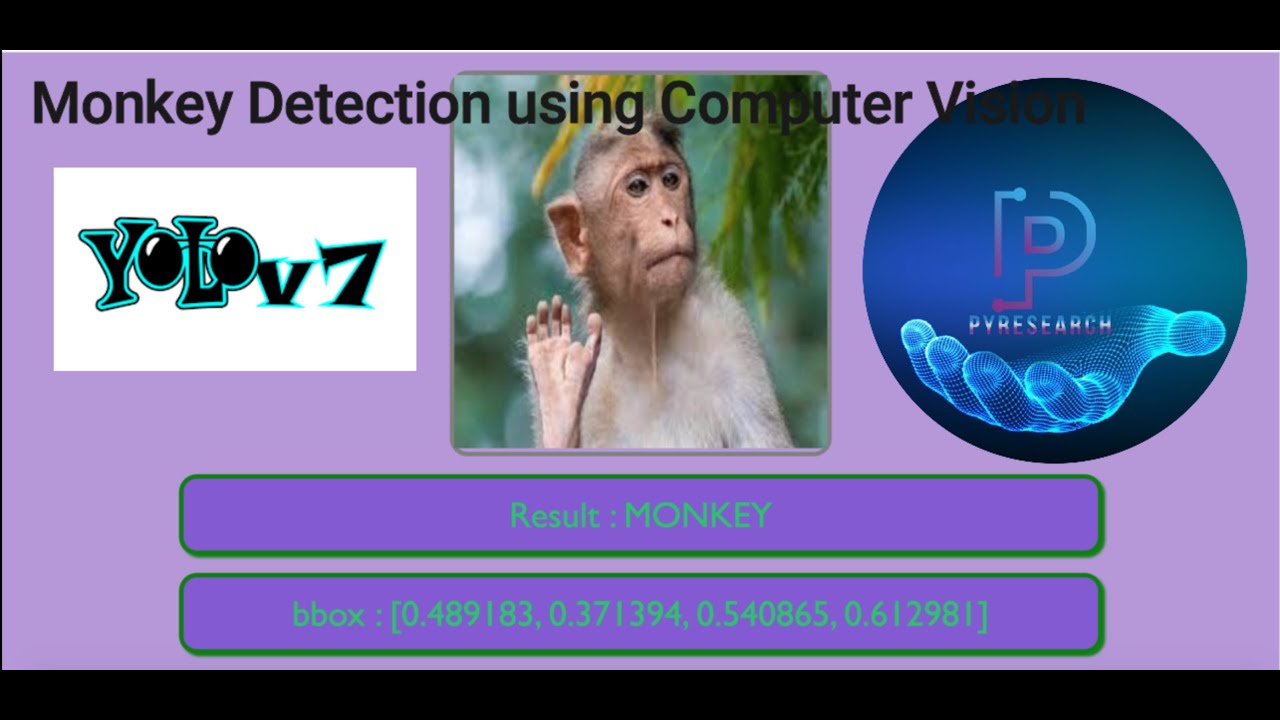 Monkey Detection using Computer Vision | Yolov7 | Python
