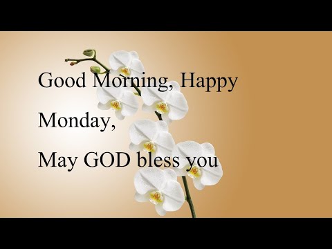 Good Morning, Happy Monday, May GOD bless you 😍😍❤❤🙏